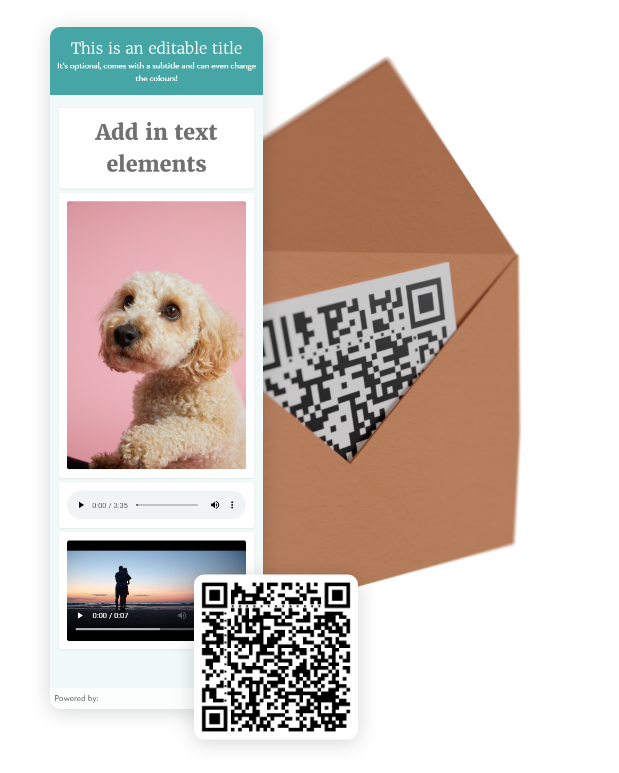 SnapAs - our products